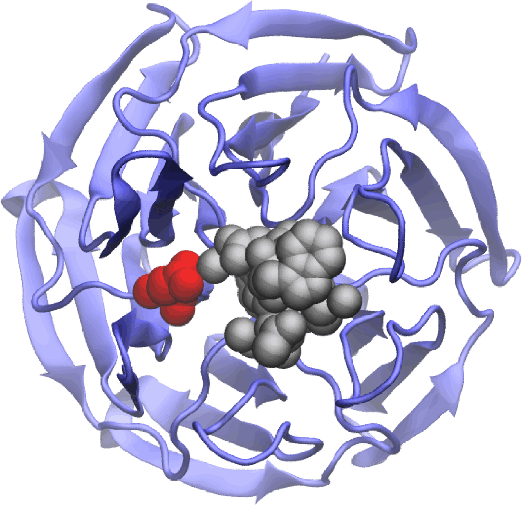 Our Research – Brunk Lab
