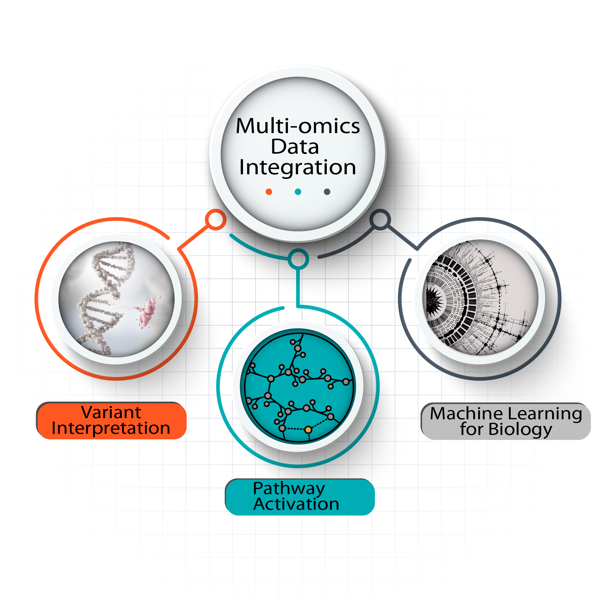 three_arms-01 – Brunk Lab