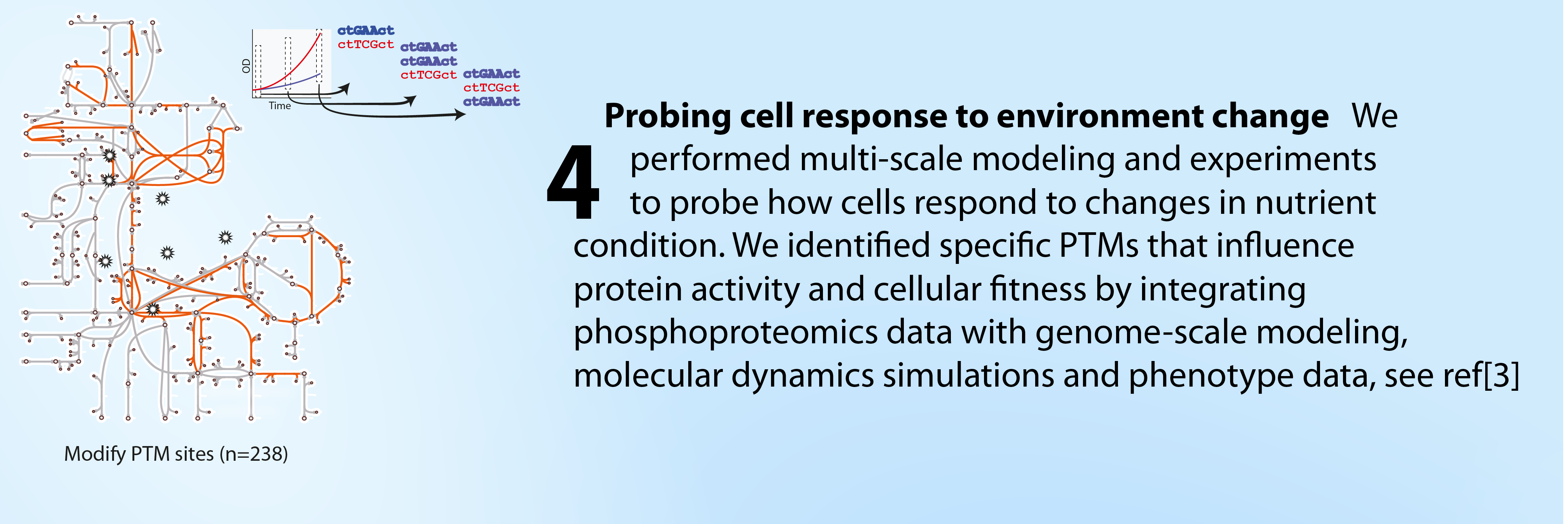 current_past_projects_dr_4-01 – Brunk Lab