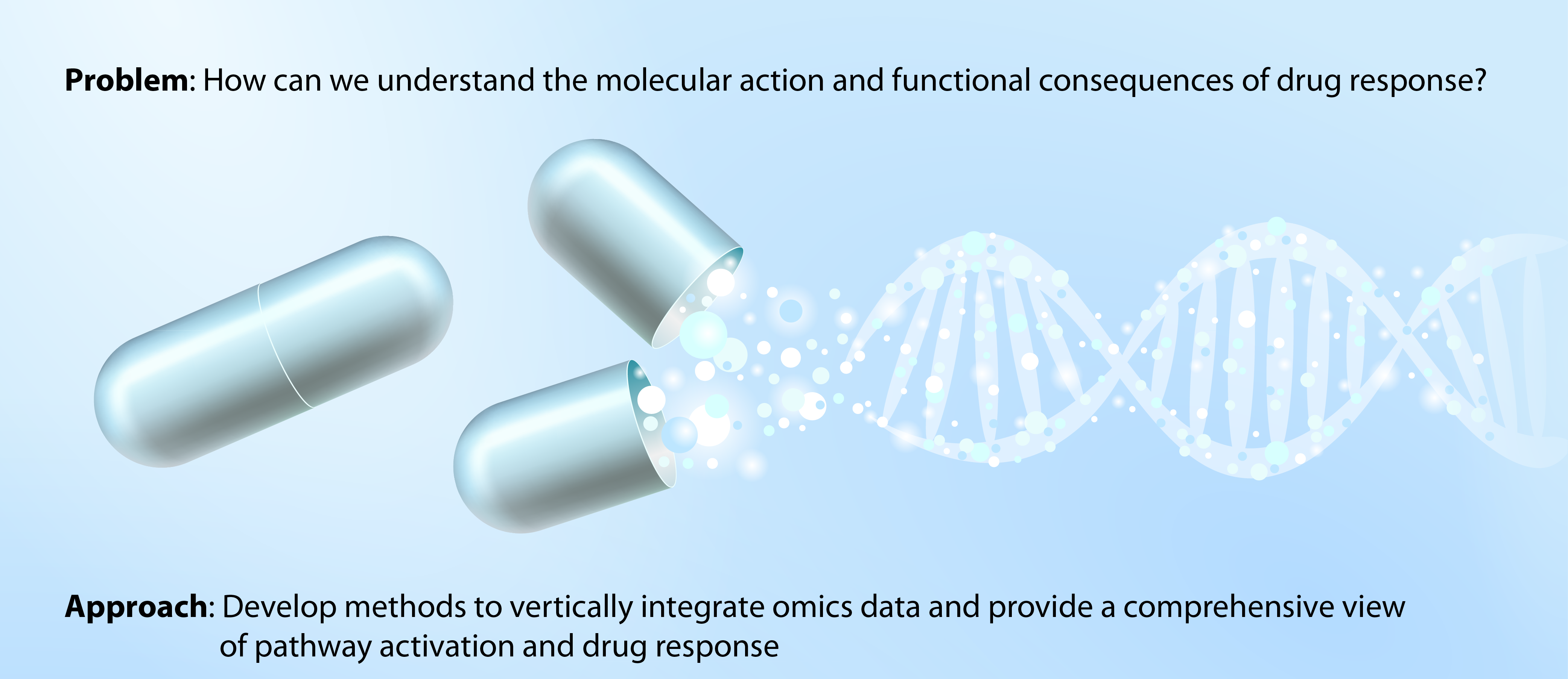 drug-response-01 – Brunk Lab