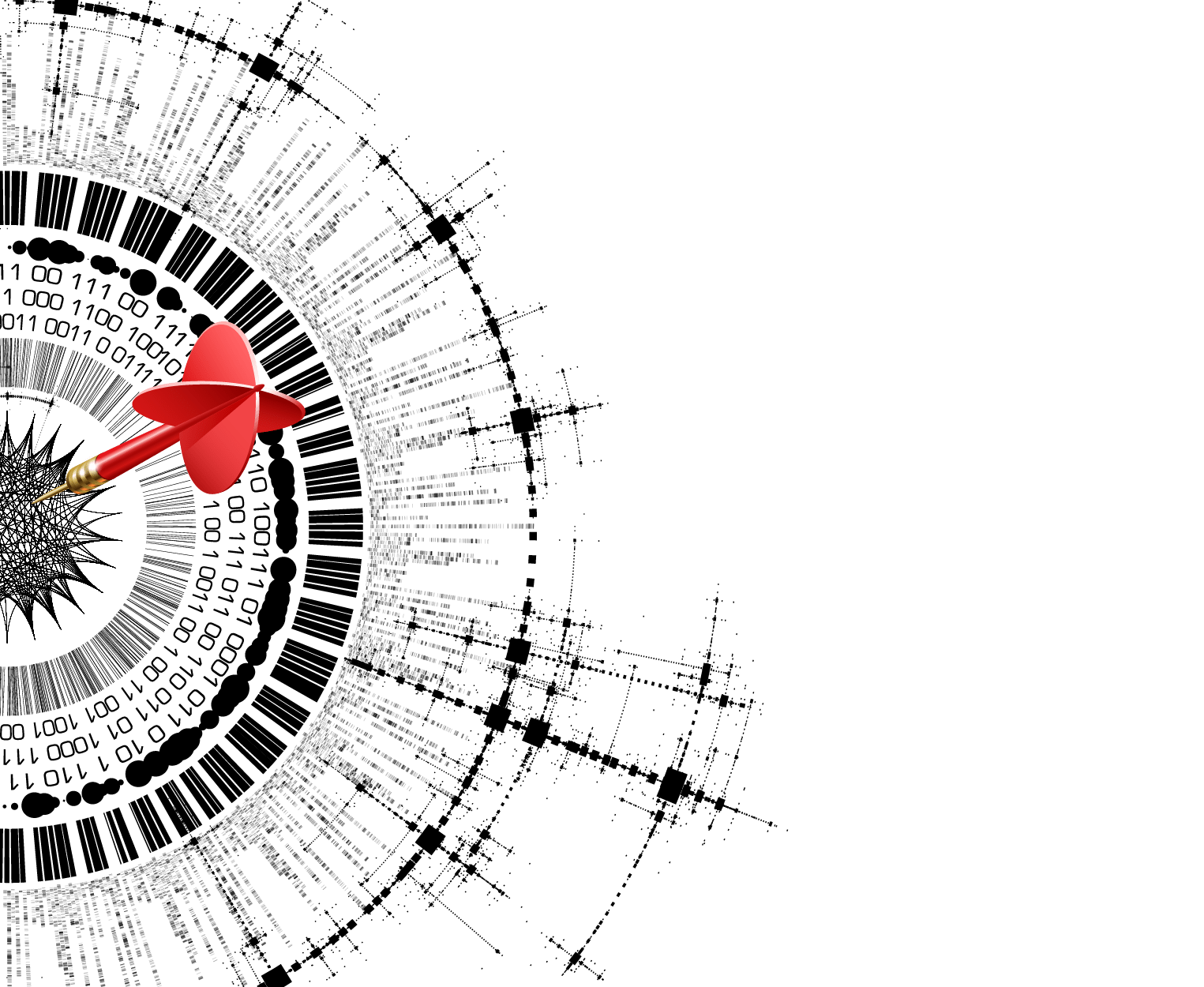 Our Research – Brunk Lab