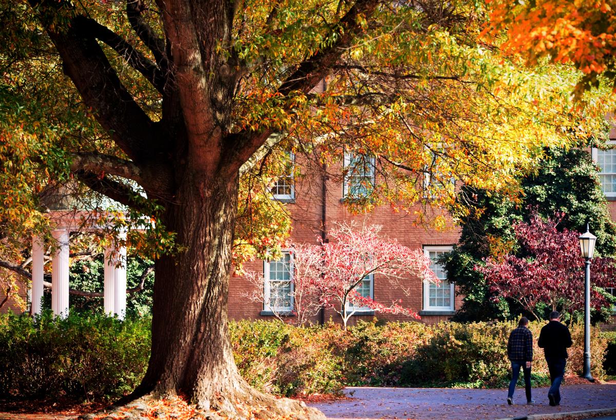 Brunk Lab – Cytogenomics ･ Single cell ･ Machine Learning